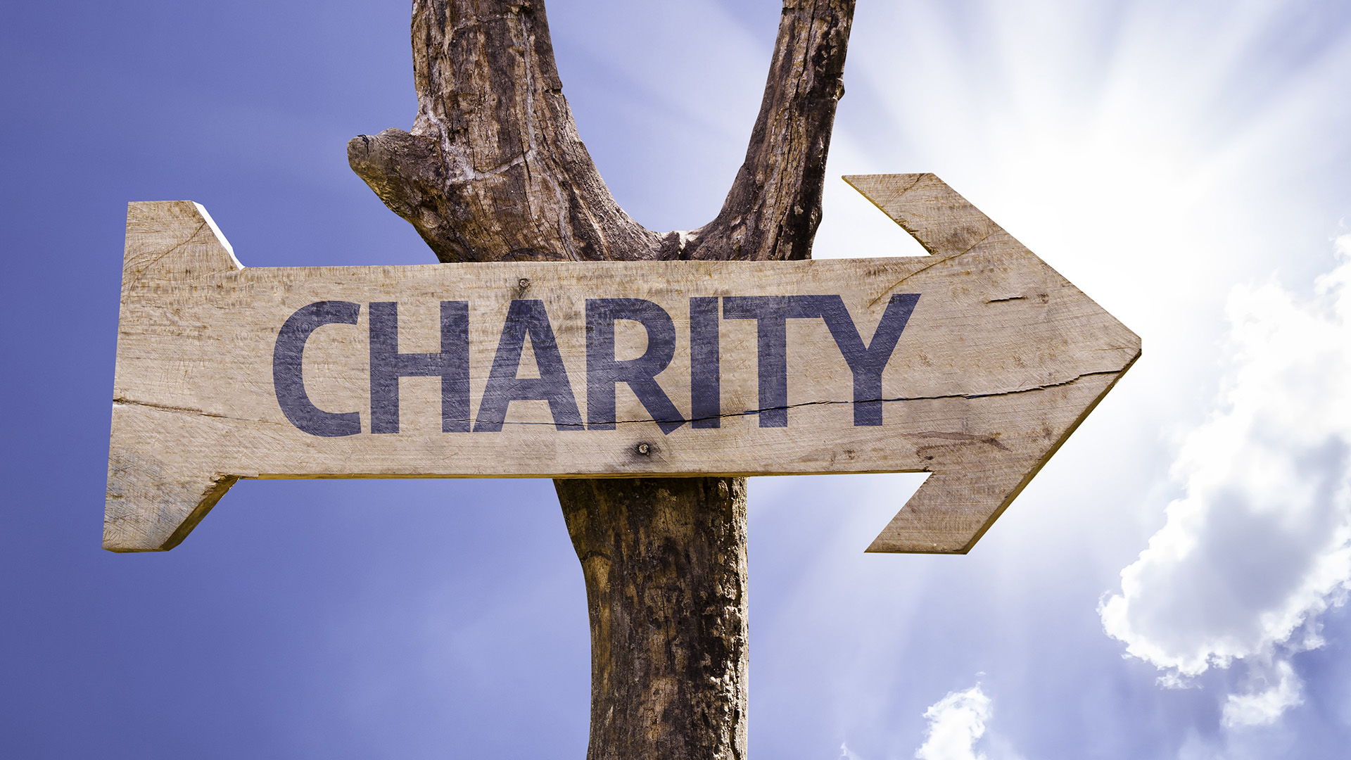 IMPEGNO SOCIALE